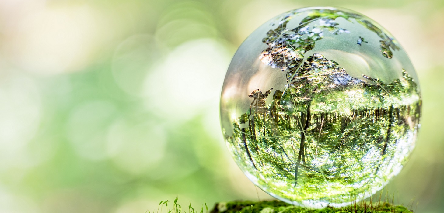 GOMARU | 囲碁を通じて世界を豊かに